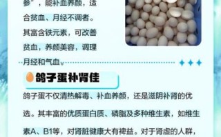 鸽子蛋的功效与作用_鸽子蛋的禁忌有哪些