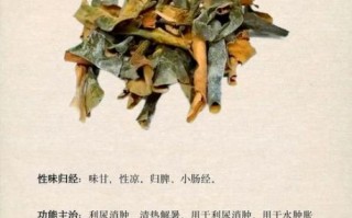 冬瓜的功效与作用有哪些_冬瓜主治什么病