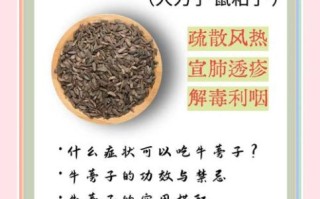 牛蒡茶副作用有哪些_牛蒡茶副作用太坑爹了