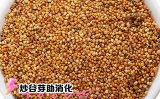 炒谷芽的功效与作用及禁忌_什么人不能吃