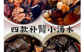 补肾食物有哪些_补肾菜谱怎么做