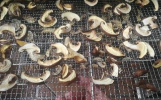 香菇煮多久能熟_干香菇泡发后煮几分钟