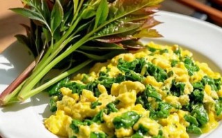 香椿种子怎么种_香椿种子几天发芽