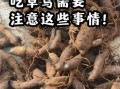 草乌的功效与作用_草乌的毒副作用有哪些