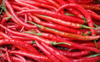 自制豆瓣酱的做法窍门_怎么做出饭店味