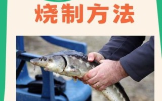 清蒸鲟鱼怎么做好吃_清蒸鲟鱼蒸几分钟最佳