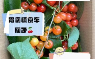 女人吃车厘子的禁忌_孕妇能吃车厘子吗