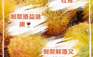 刺梨果泡水喝的功效与作用_刺梨果泡水怎么喝最有效