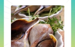 海螺水煮几分钟_海螺煮多久才熟