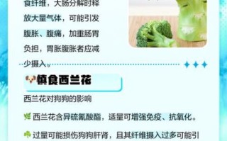 西兰花吃多了有什么坏处_哪些人不能吃西兰花