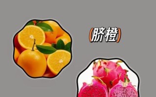 含维生素B的食物有哪些_哪些水果富含维生素B