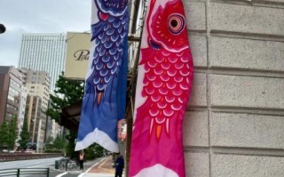 鲤鱼旗图片_鲤鱼旗代表什么含义