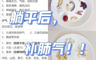 补肺吃什么食物最好_补肺的十种食物有哪些