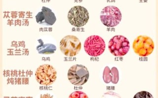 补肾的汤有哪些_补肾汤怎么煲最养肾