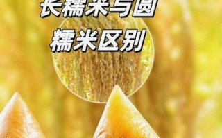 圆粒江米是糯米吗_圆粒江米和糯米区别