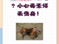 死螃蟹能吃吗_吃了会怎么样