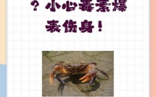 死螃蟹能吃吗_吃了会怎么样 死螃蟹能吃吗_吃了会怎么样
