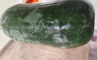 大冬瓜图片怎么拍_大冬瓜高清图哪里找