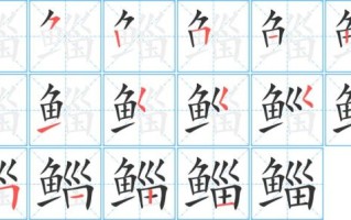 鲻怎么读_鲻鱼发音和写法详解