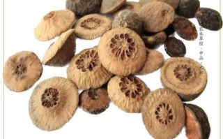 枳实的功效与作用_枳实怎么泡水喝