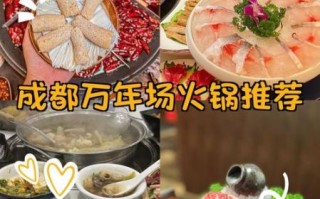 成都好吃的火锅店排名_成都火锅哪家最好吃