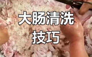 猪大肠怎么清洗才干净_猪大肠焯水几分钟