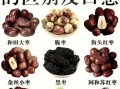 吃大枣的好处和坏处_哪些人不能吃