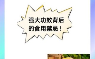 雪莲果男人不能吃是真的吗_雪莲果对男性有哪些危害