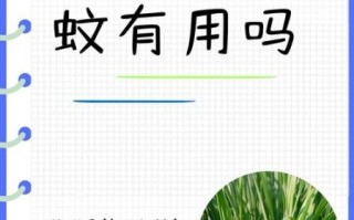 香茅草能驱蚊吗_香茅草驱蚊效果好吗