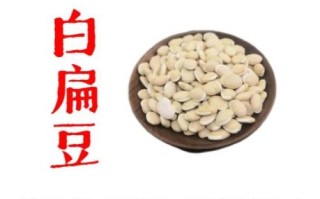 白扁豆的功效与作用_白扁豆怎么吃祛湿健脾