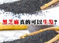 黑芝麻怎么吃生发_黑芝麻生发正确吃法