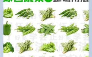 绿叶蔬菜有哪些_怎么保存不黄