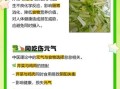 芹菜和鸡肉能一起吃吗_会不会相克