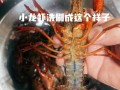 怎样炒麻辣小龙虾_麻辣小龙虾怎么做才入味