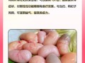 鸡肾的营养价值_鸡肾怎么做好吃