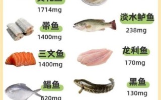 鱼肉热量是多少_减肥可以吃哪些鱼