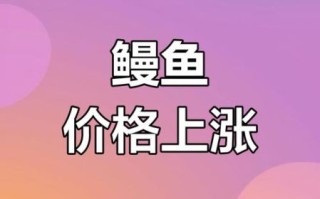 鳗鱼价格多少钱一条_鳗鱼一条多少钱