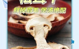 干松茸怎么泡发_干松茸的家常做法