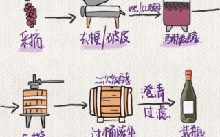 如何在家自酿葡萄酒_自酿葡萄酒的详细步骤