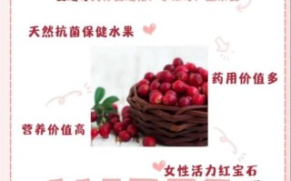 蔓越莓的功效与作用_蔓越莓怎么吃最有效