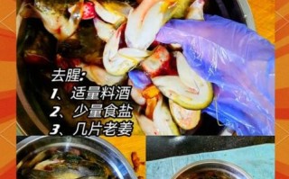 大鲶鱼怎么做好吃_大鲶鱼的家常做法
