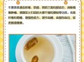 牛蒡茶哪里买正宗_牛蒡茶真假怎么辨别