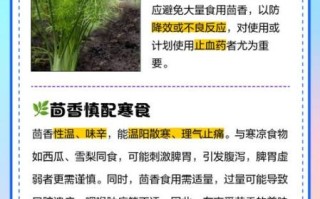 茴香菜和什么食物相克_中毒症状有哪些