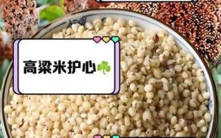高粱米的功效与作用_高粱米有哪些营养价值