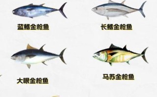 金枪鱼种类大全_哪种最好吃