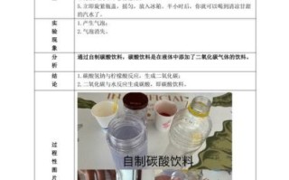 汽水怎么做_自制汽水需要哪些材料