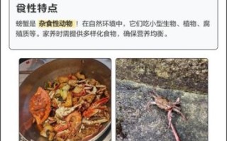 野生螃蟹吃什么_野生螃蟹食物清单