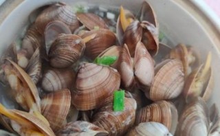 烤河蚌怎么做_烤河蚌要烤多久才熟
