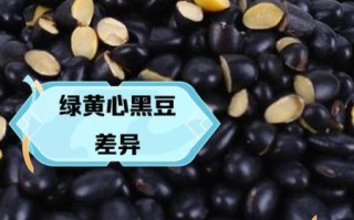 大黑豆和小黑豆的区别_哪个营养价值更高