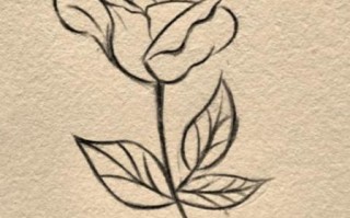 玫瑰花怎么画简单好看_零基础也能学会的玫瑰画法